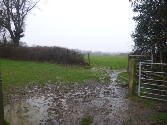 T:UK - Shortwood Farm