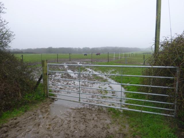 T:UK - Buckholt Farm