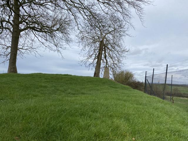 T:UK - Leafield Clump