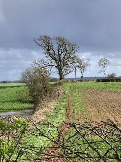 T:UK - Withycombe Farm