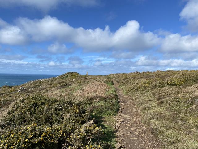 T:UK - Botallack Head