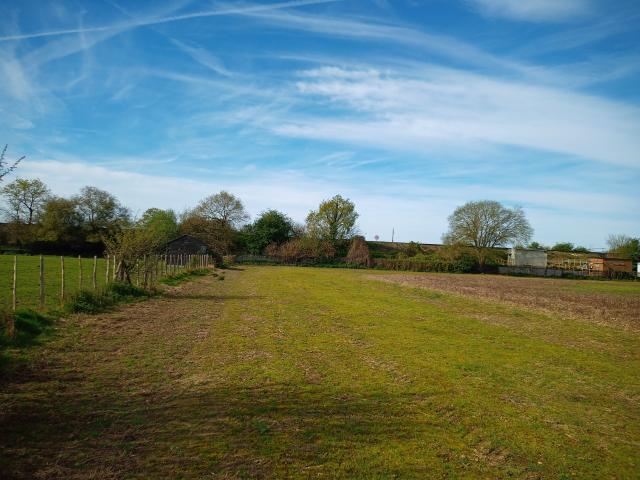 T:UK - Hawden Railway Embankment