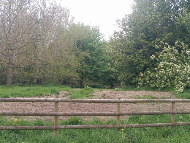 T:UK - Hafod Colliery Baths Tower