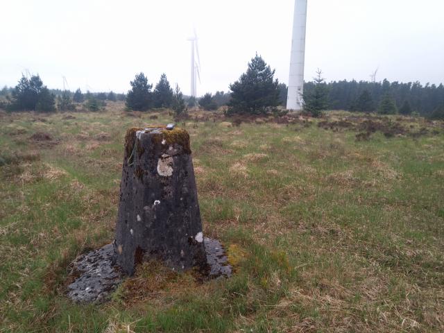 T:UK - Cashlaundrumlahan (OSI)