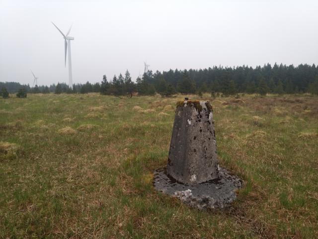 T:UK - Cashlaundrumlahan (OSI)