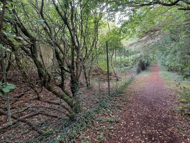 T:UK - Brown Hill Embankment