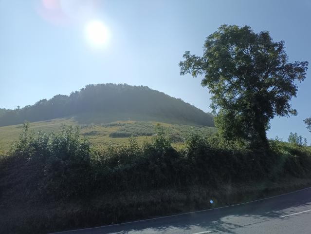 T:UK - Frocester Hill