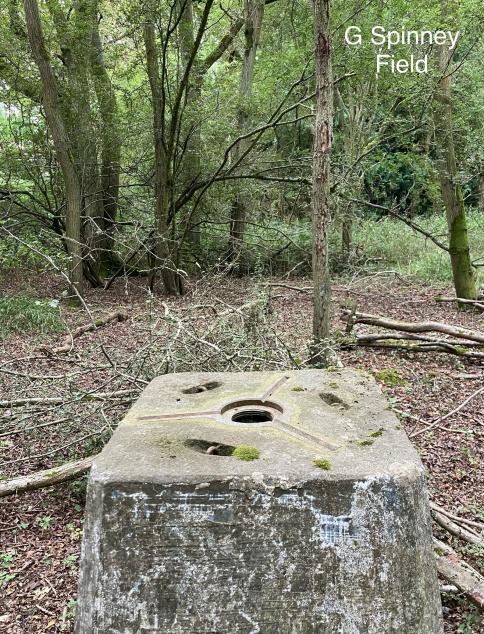 T:UK - G Spinney Field