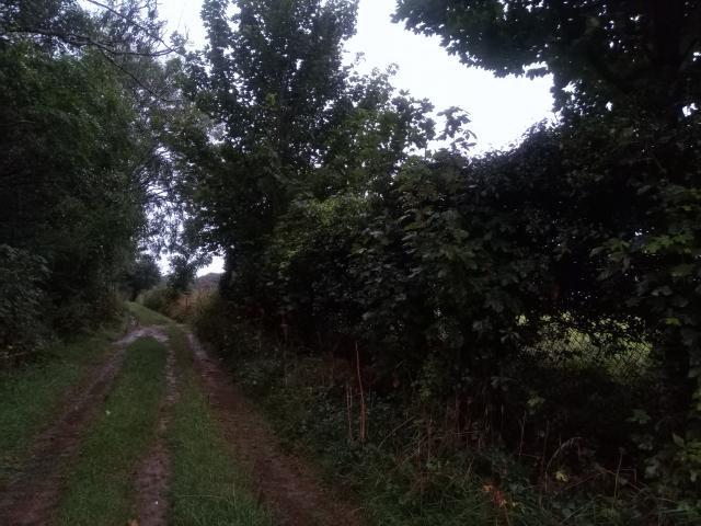 T:UK - Bickleigh Down