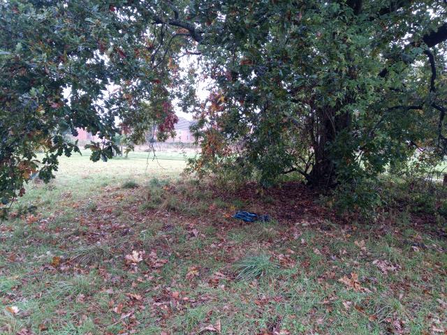 T:UK - Warren House Farm