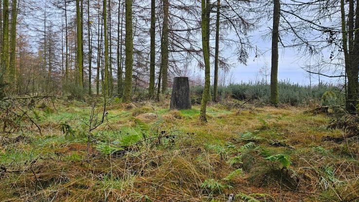 T:UK - Hutton Mulgrave Moor