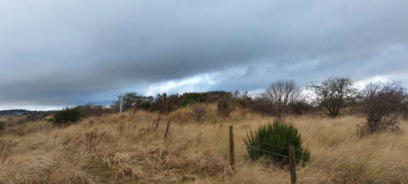 T:UK - Monifieth Ranges