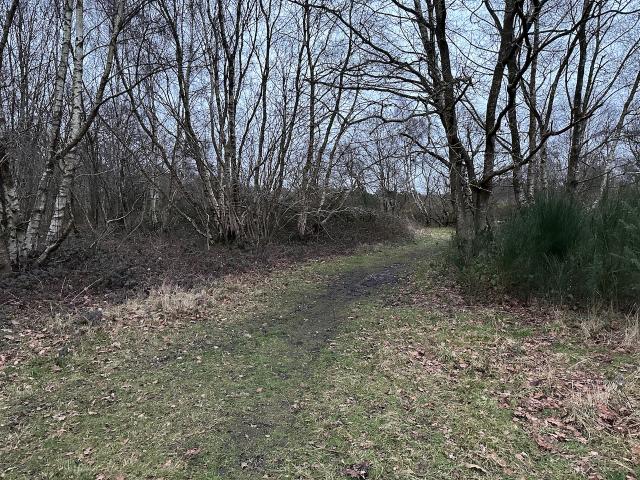 T:UK - Netley Common