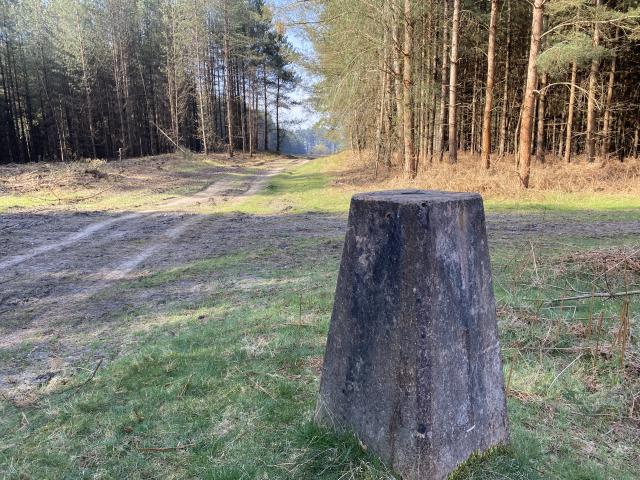 T:UK - Wangford Warren