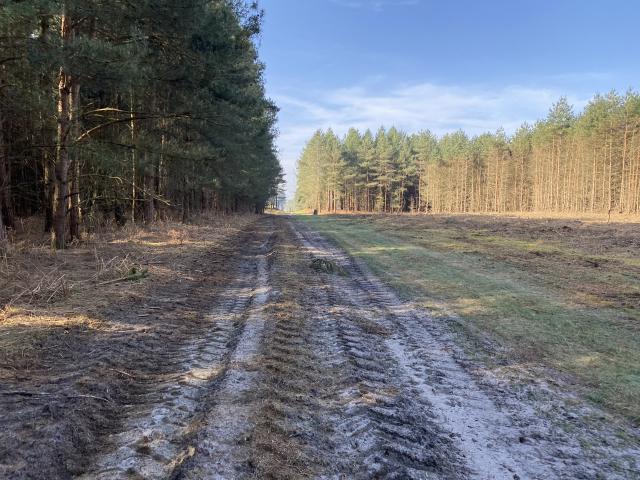 T:UK - Wangford Warren