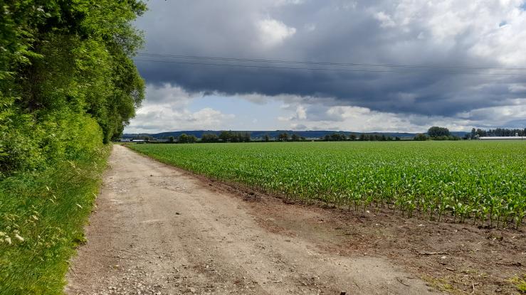 T:UK - Full Sutton North