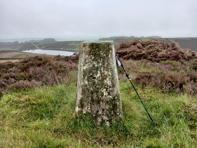 T:UK - Cochrage Muir