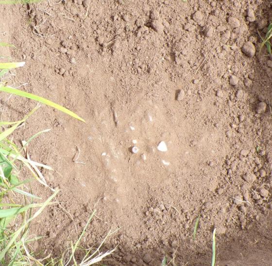 T:UK - Tithe Barn Hill